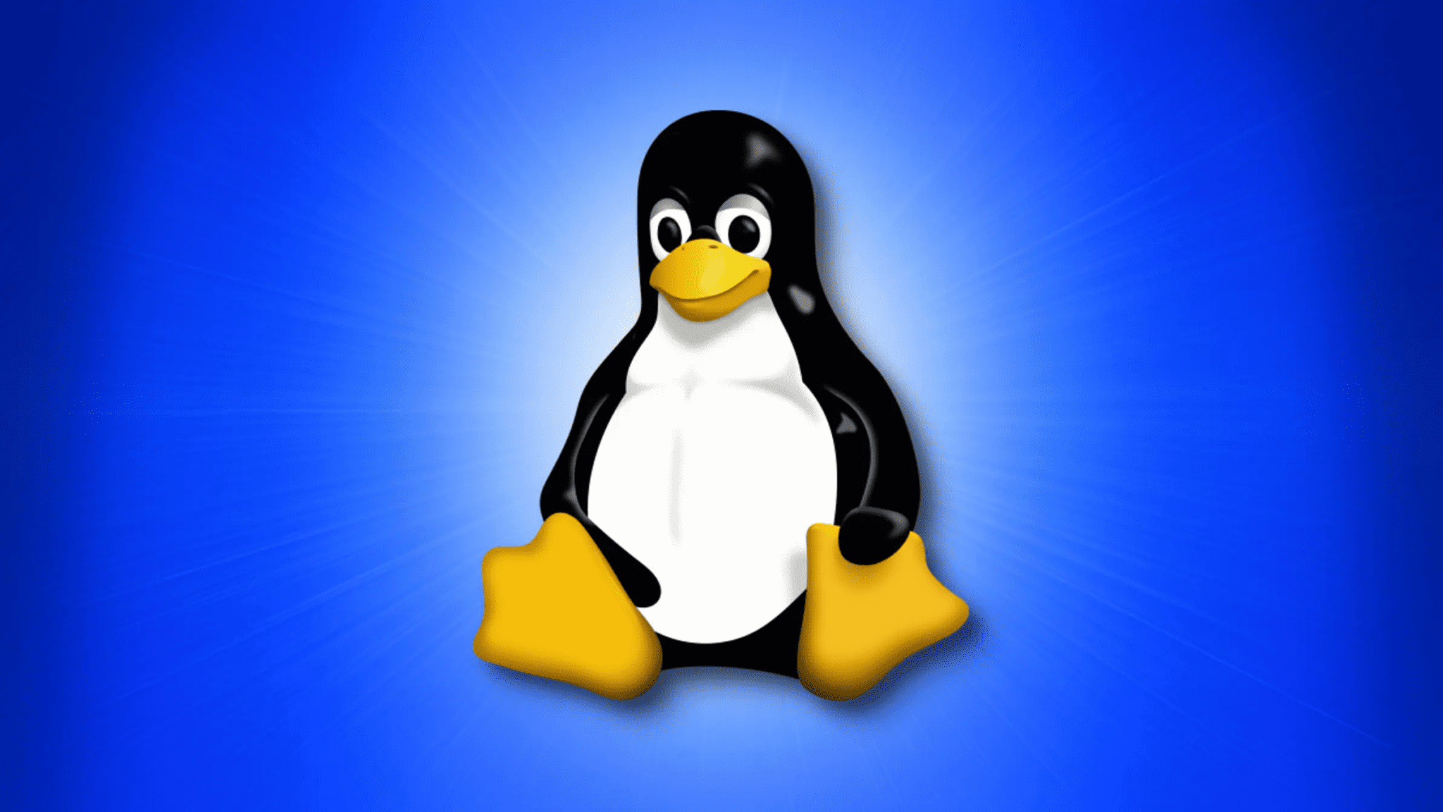 Se cumplen 30 años de la creación de Linux y te comentamos cuáles son ...